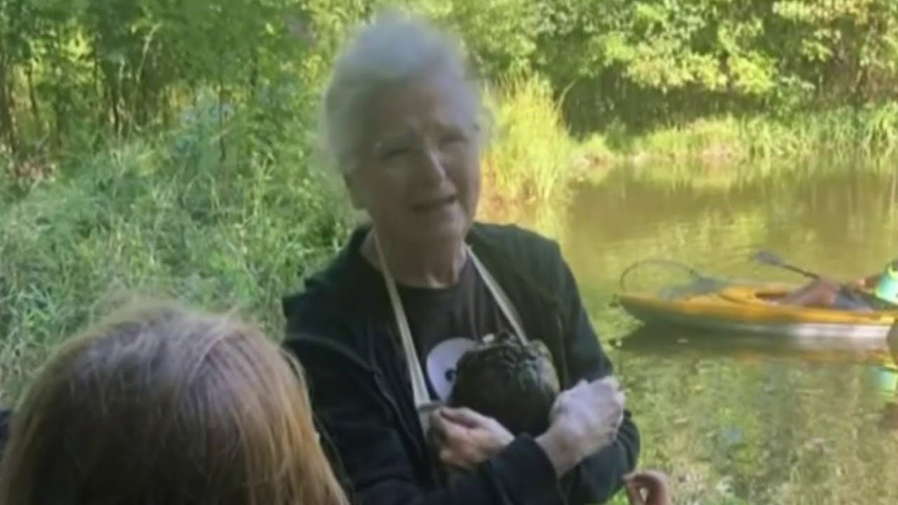 Missing turtle reunited with owner - YouTube