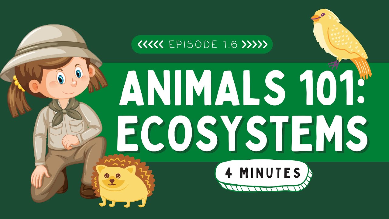 Animals 101: Ecosystems | Wildlife for Kids - YouTube