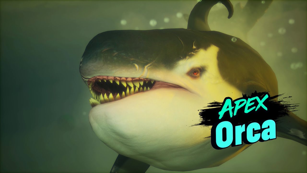 Maneater Gameplay Part 16 - Boss Fighting ( Apex Orca ) - YouTube