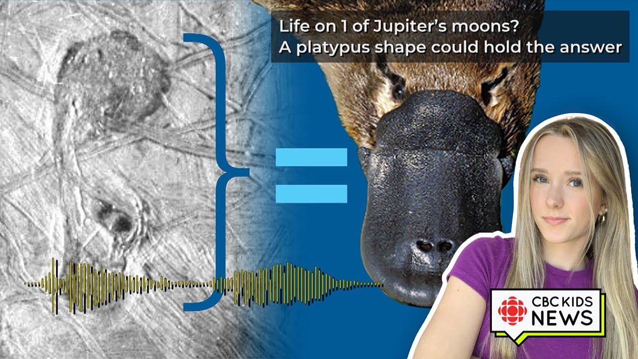 Life on 1 of Jupiter’s moons? A platypus shape could hold the answer ...