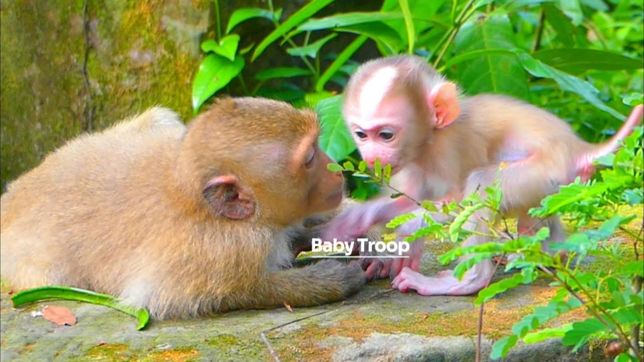 nice clip sister Rainbow training cute baby Luno , look sweet action - YouTube