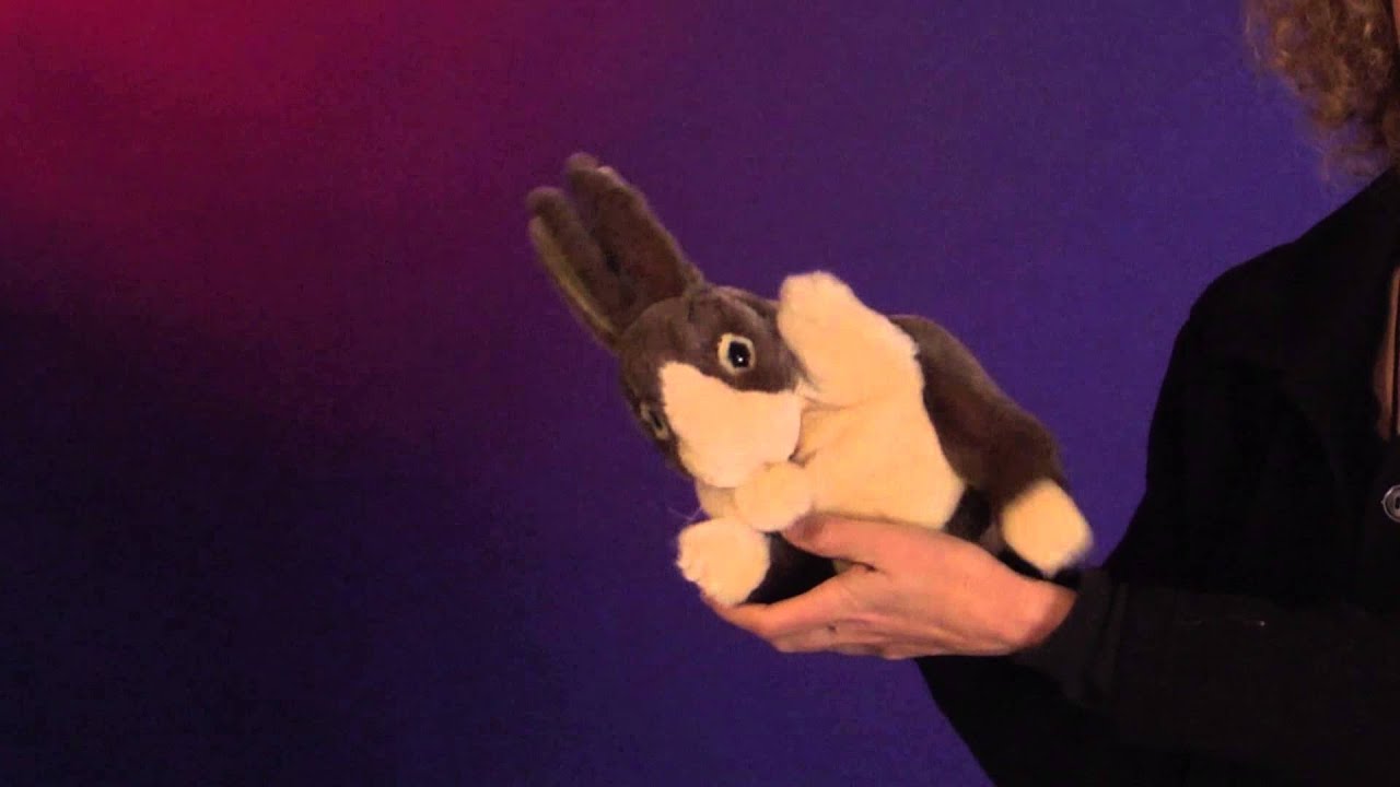 Folkmanis® Baby Dutch Rabbit Puppet Demo - YouTube
