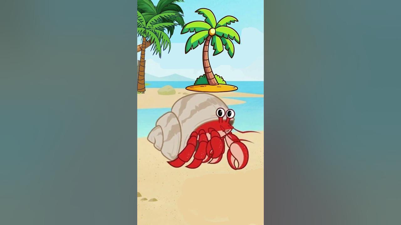 The Little Crabs with Big Shells Land Hermit Crabs🐚#kidsvideo #animal # ...