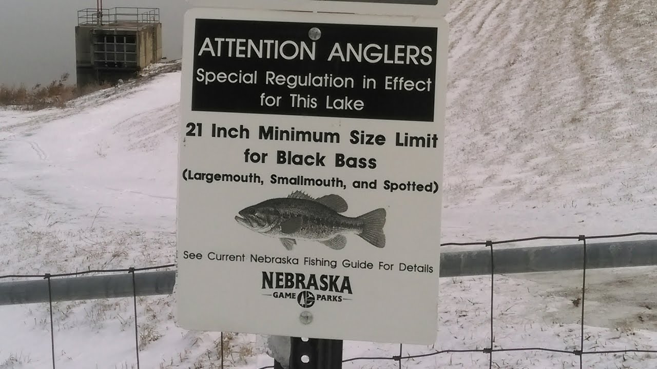 Please Obey The Signs - YouTube