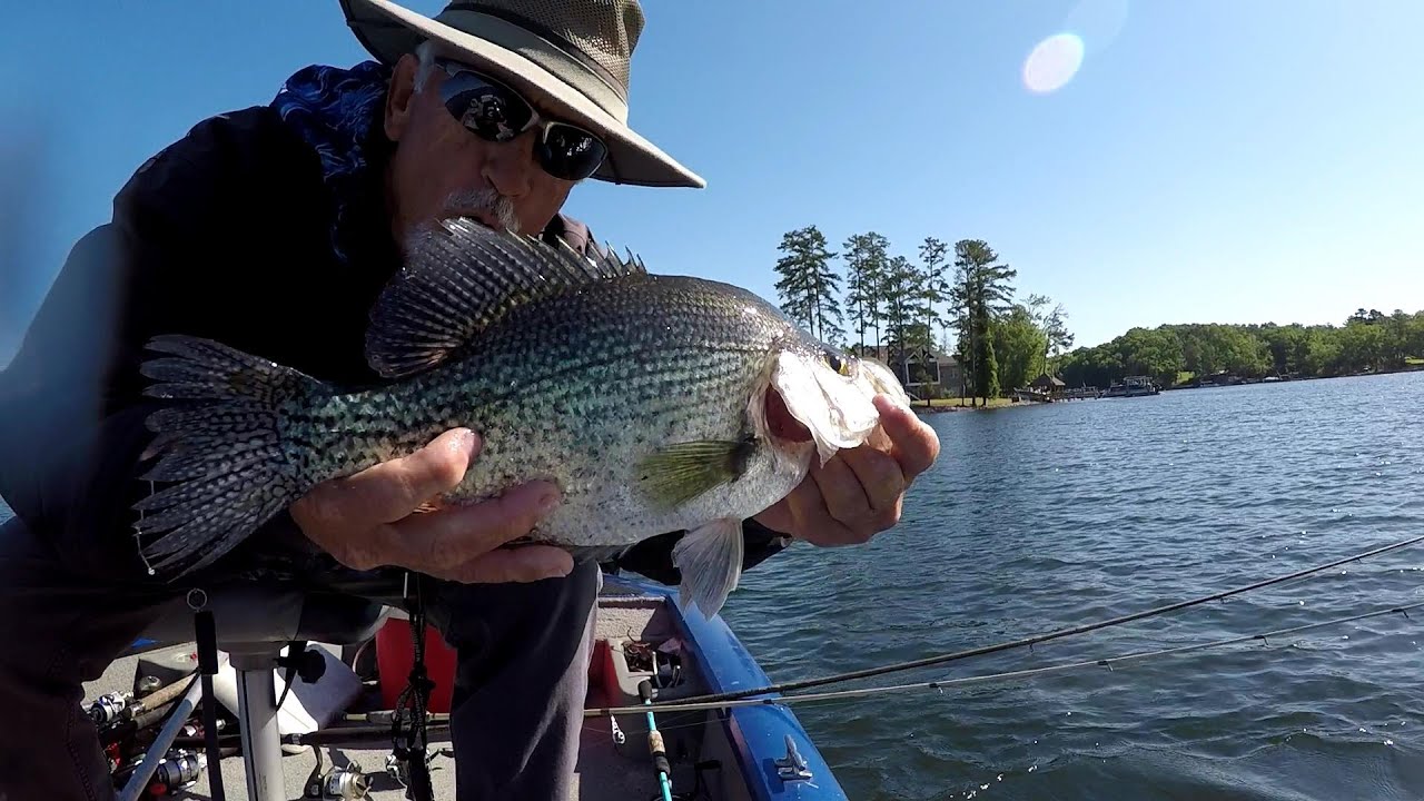 Jumbo Magnum Crappies on Tuffy Minnows - YouTube