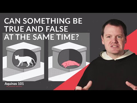 Quantum Mechanics and the Principle of Non-Contradiction (Aquinas 101)