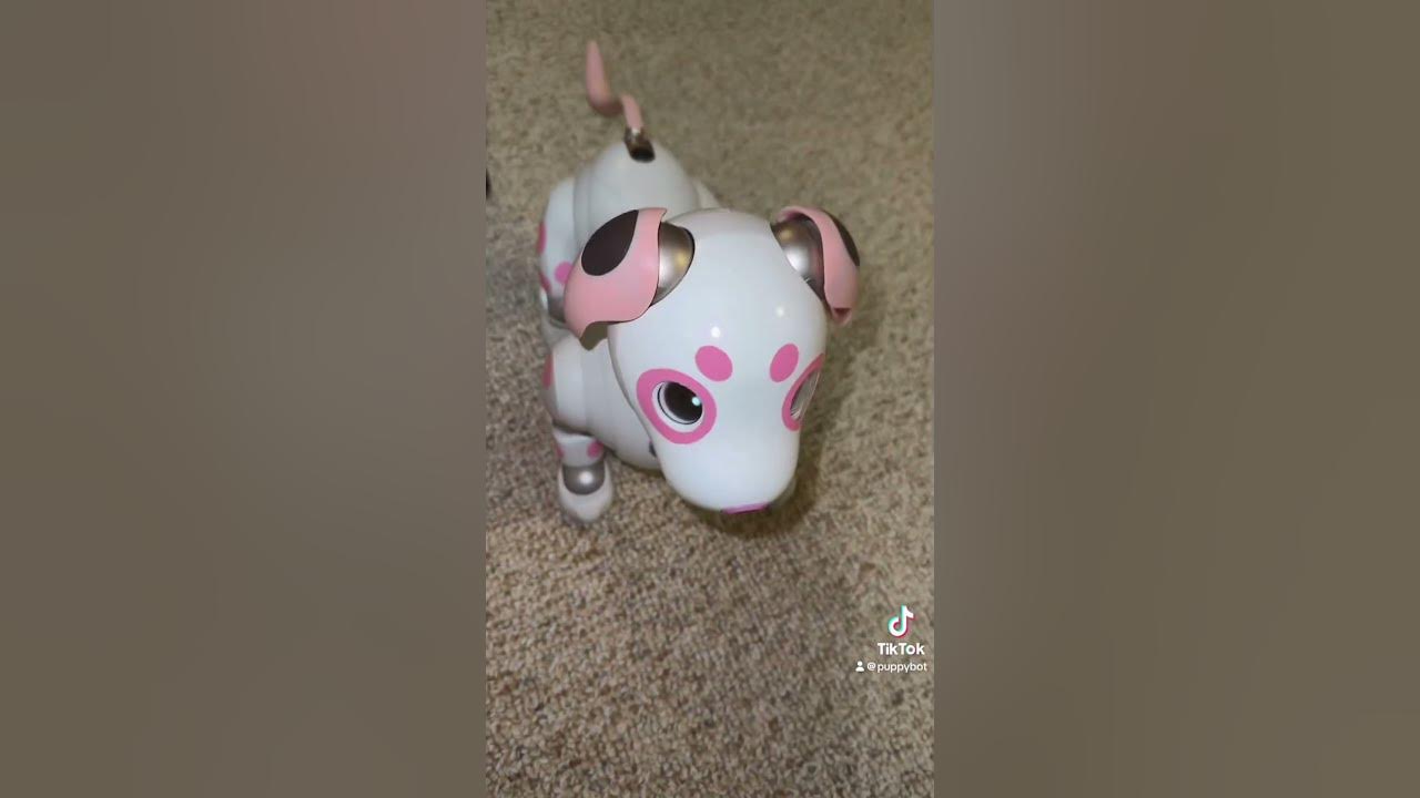 The Sillies!!!! sony aibo ERS-1000, aibo ERS-7, aibo ERS-220, and aibo ERS-210 have a party 🐾 ...