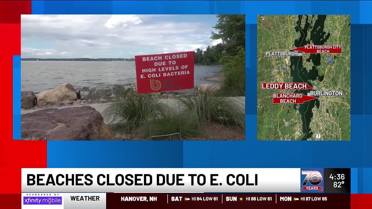 E. coli contamination closes 3 area beaches - YouTube