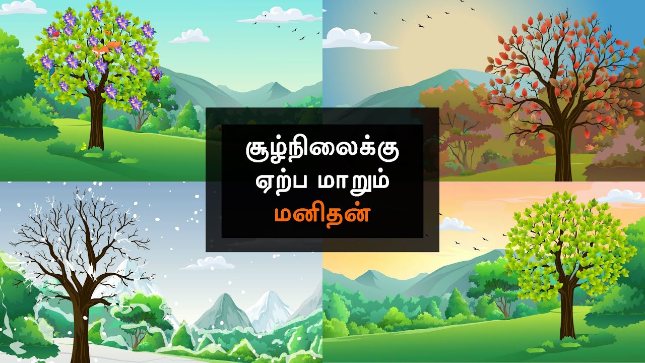 ஒருவரை பார்த்தவுடன் எவ்வாறு மதிப்பீடு செய்வீர்கள்? | One Tree in Four ...