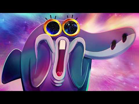 Zig & Sharko | Sharko’s Big Dream! | A Xilam Series | Xilam TV