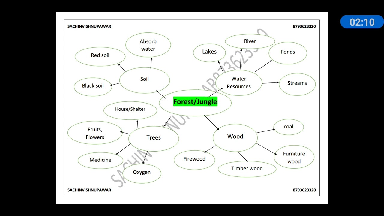 Mind Mapping on Forest|Mind Mapping on jungle Forest HSC English Paper ...