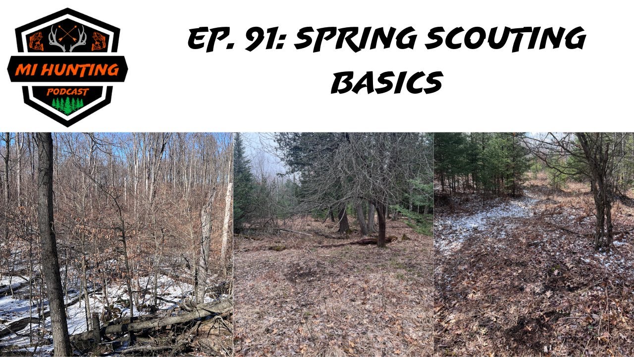 Ep. 91: Spring Scouting Basics - YouTube