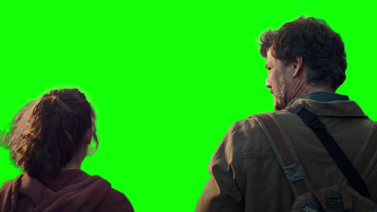 The Last of Us "you can't deny that view" green screen - YouTube