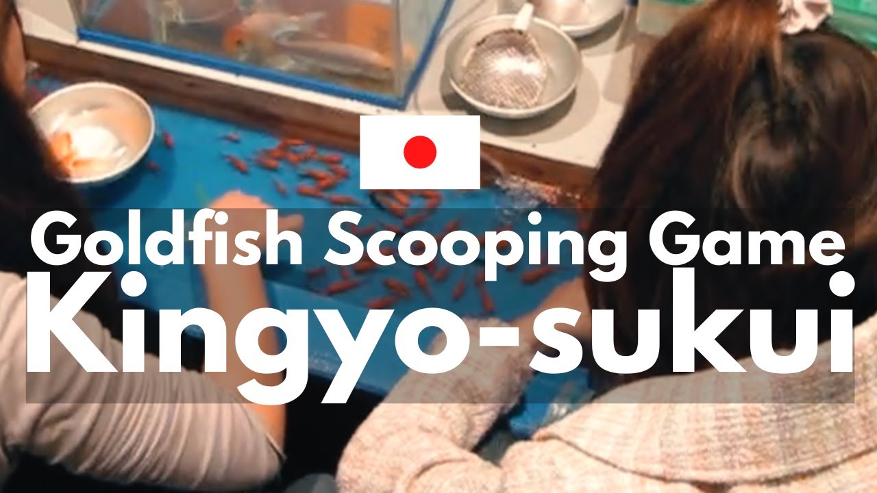 Traditional Japanese Game | Goldfish Scooping | Kingyo-sukui | 金魚すくい, 金魚掬い - YouTube