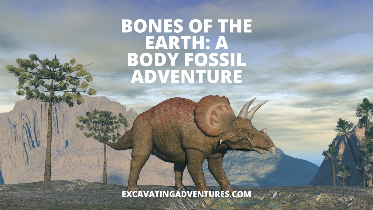 Bones of the Earth A Body Fossil Adventure - YouTube