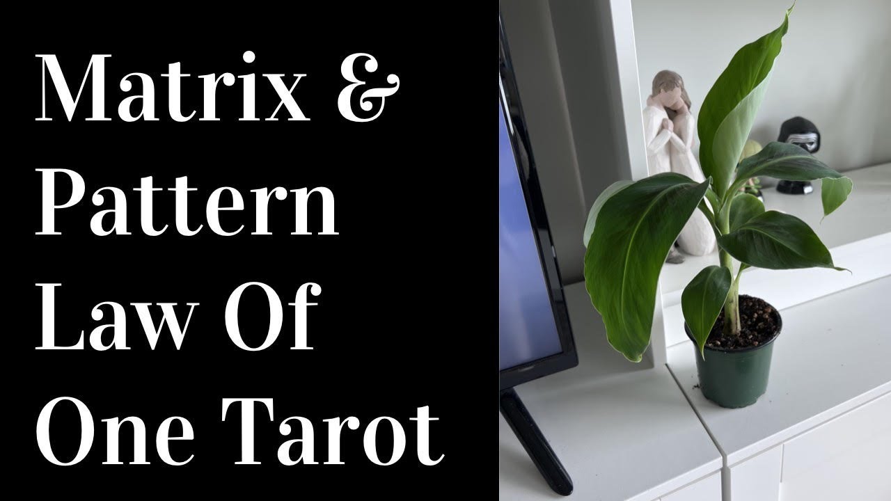 Matrix/Patterns analysis with Law of One Tarot p.3 - YouTube