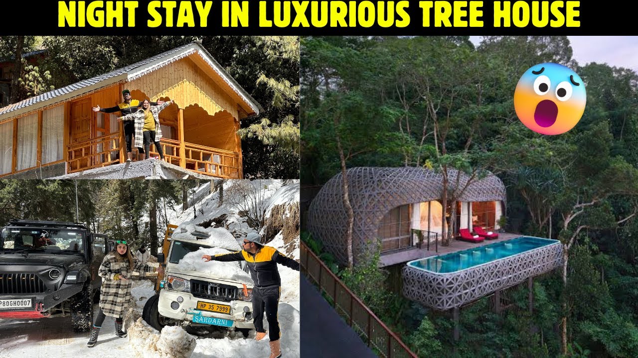 I Stayed In INDIA’s Most Luxurious Tree House 😱 - JIBHI, Manali - YouTube