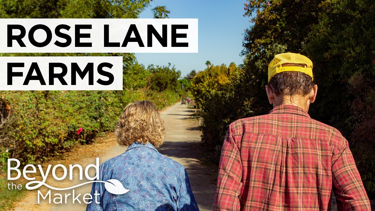 Meet the Farmers Behind Rose Lane: Vince & Penny’s Story - YouTube