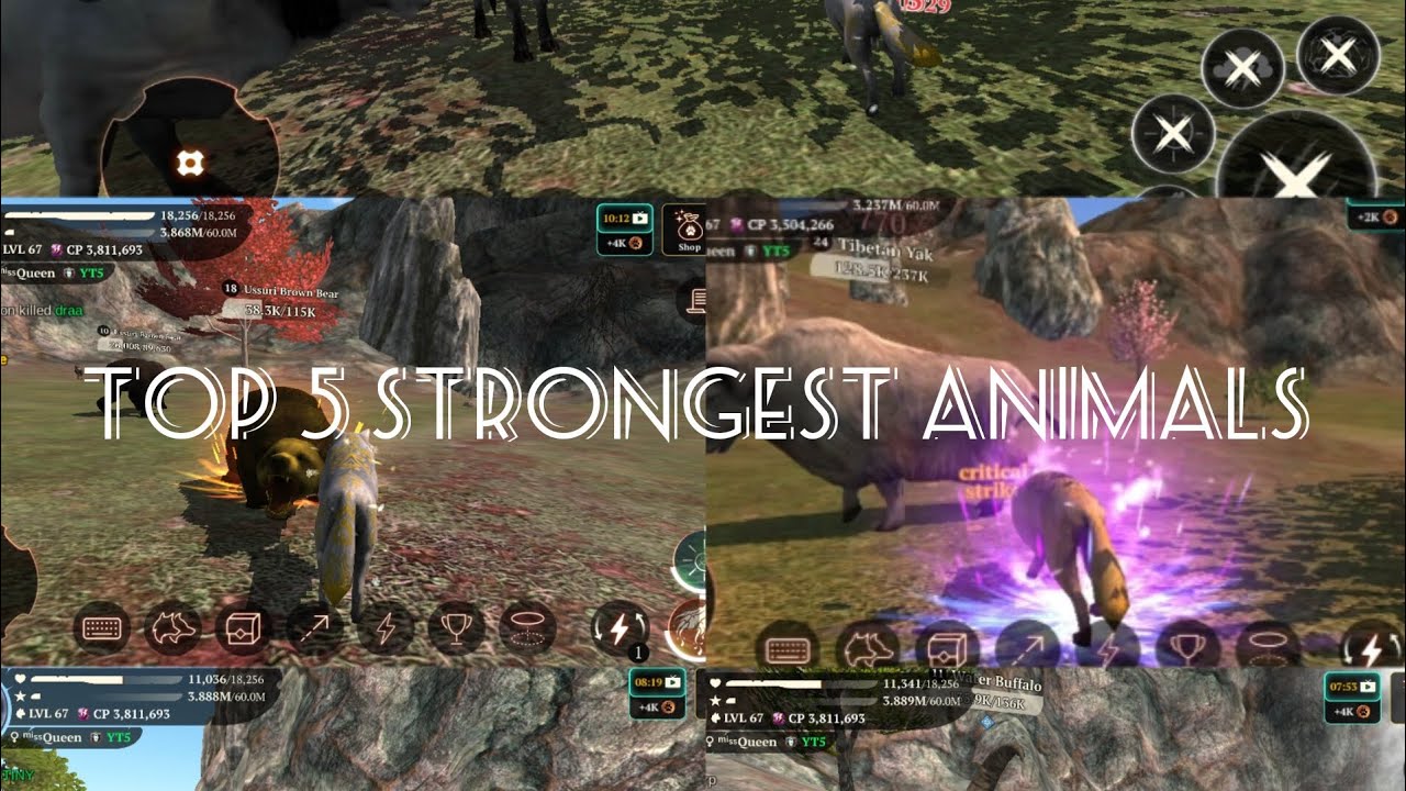 The wolf - Top 5 strongest animals in new map - YouTube