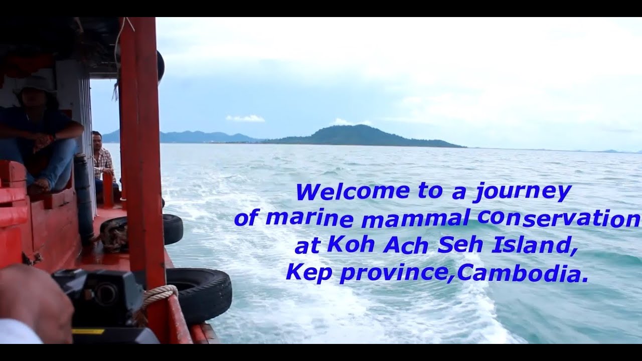 Adventure to Marine Conservation Cambodia at Koh Ach Seh island, Kep ...
