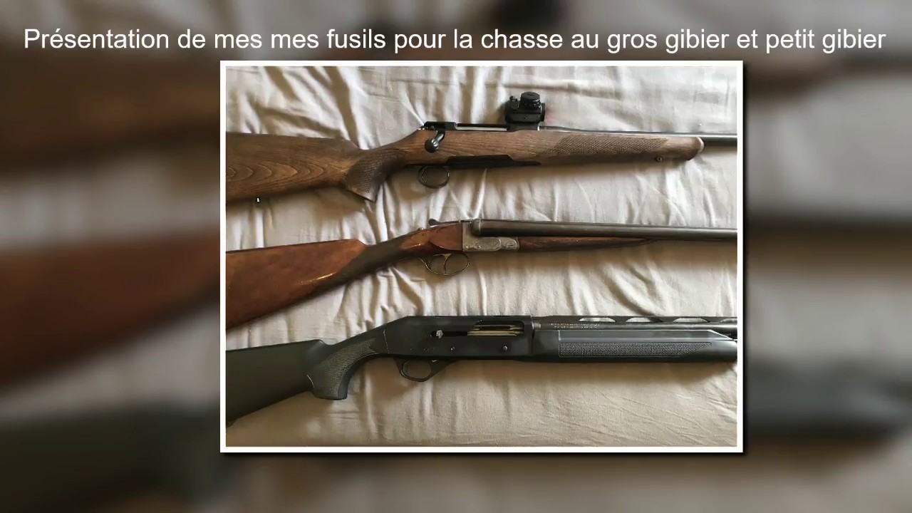 Equipements de chasse et armes battue au gros gibier et petit gibier ...