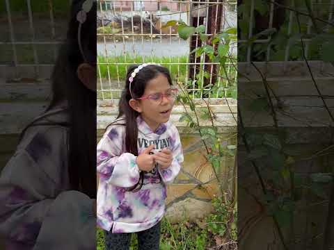 Gülü sevdim dikeni battı #shortsvideo