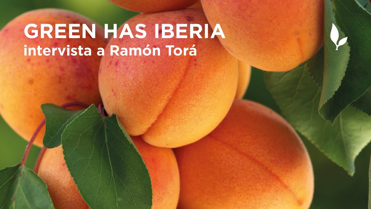 Interview with the farmer Ramón Torá - YouTube