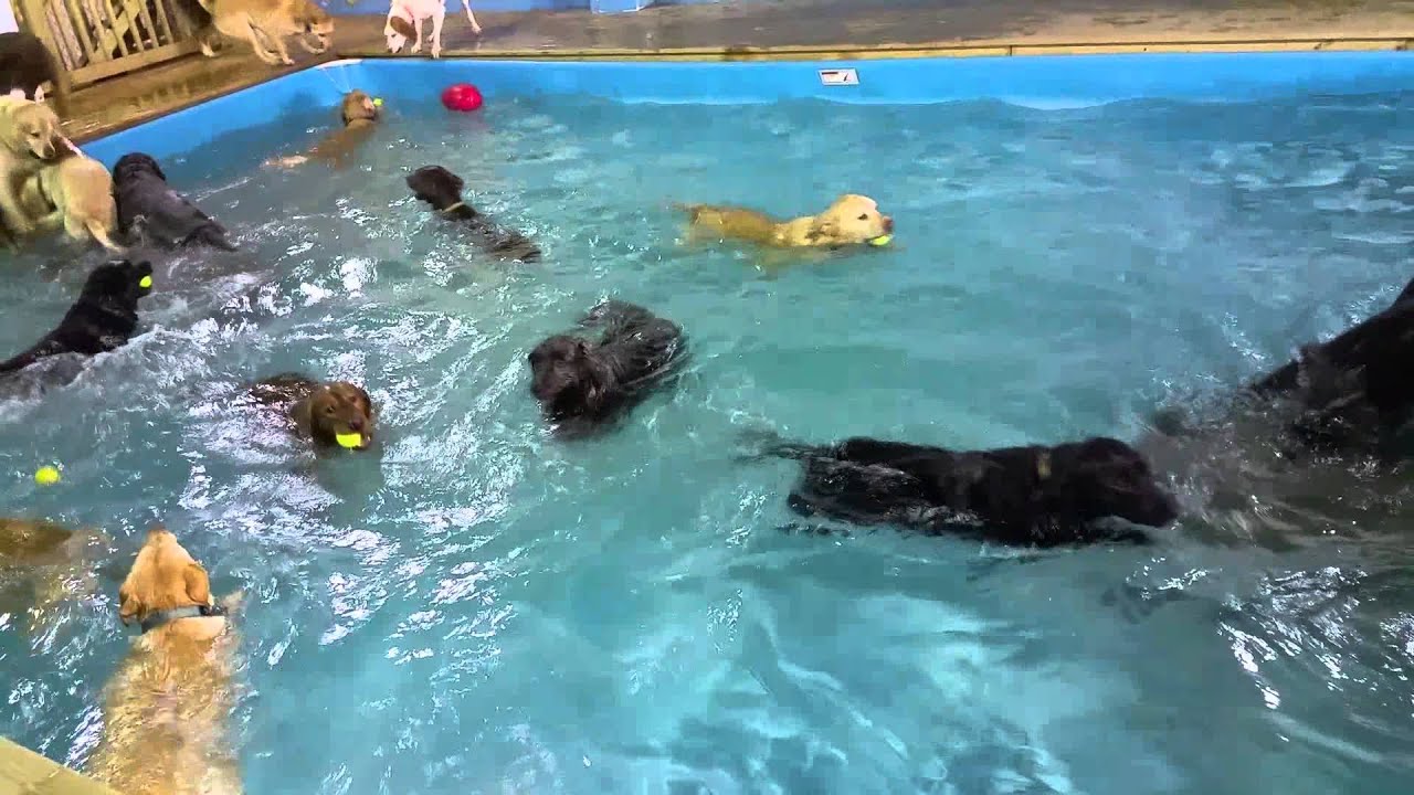 Spring Break 2016 Pool Party! - YouTube