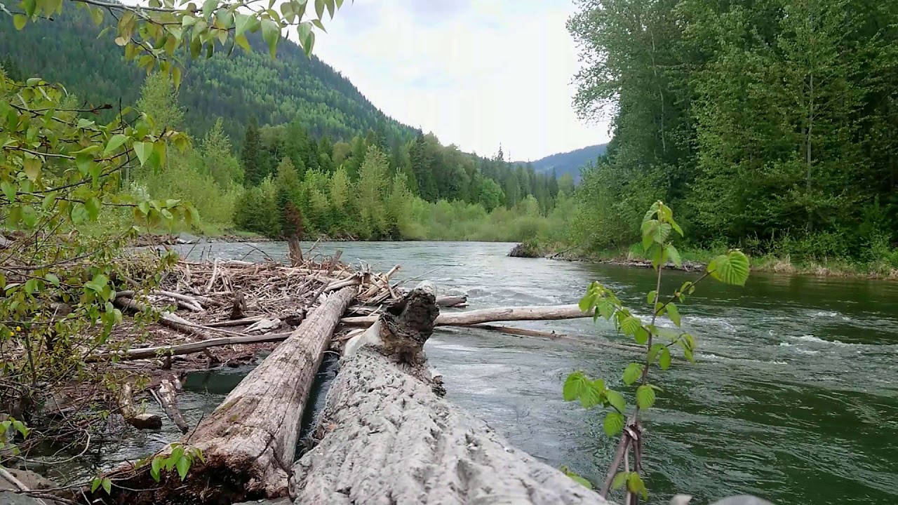 3 Hours On The Bank Of The River | High Water - YouTube