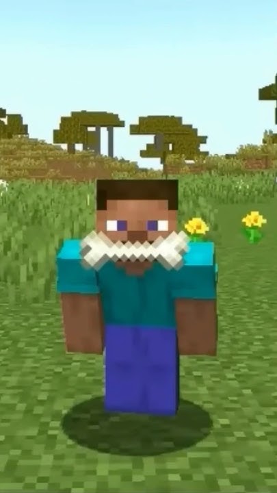 Shocking π³ Minecraft Steve Have Its Own Beard And Bee πal Is Really Good Shorts Youtube