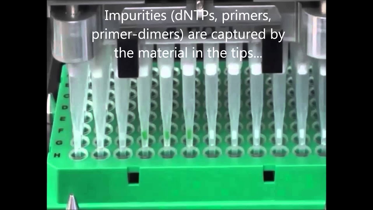 Diffinity RapidTip - Automated PCR Purification - YouTube