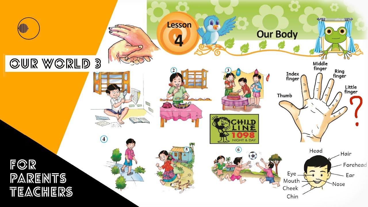 Our Body Class 3 Lesson 4 EVS AP Syllabus YouTube Our Body Class 3 Lesson 4 EVS AP Syllabus YouTube
