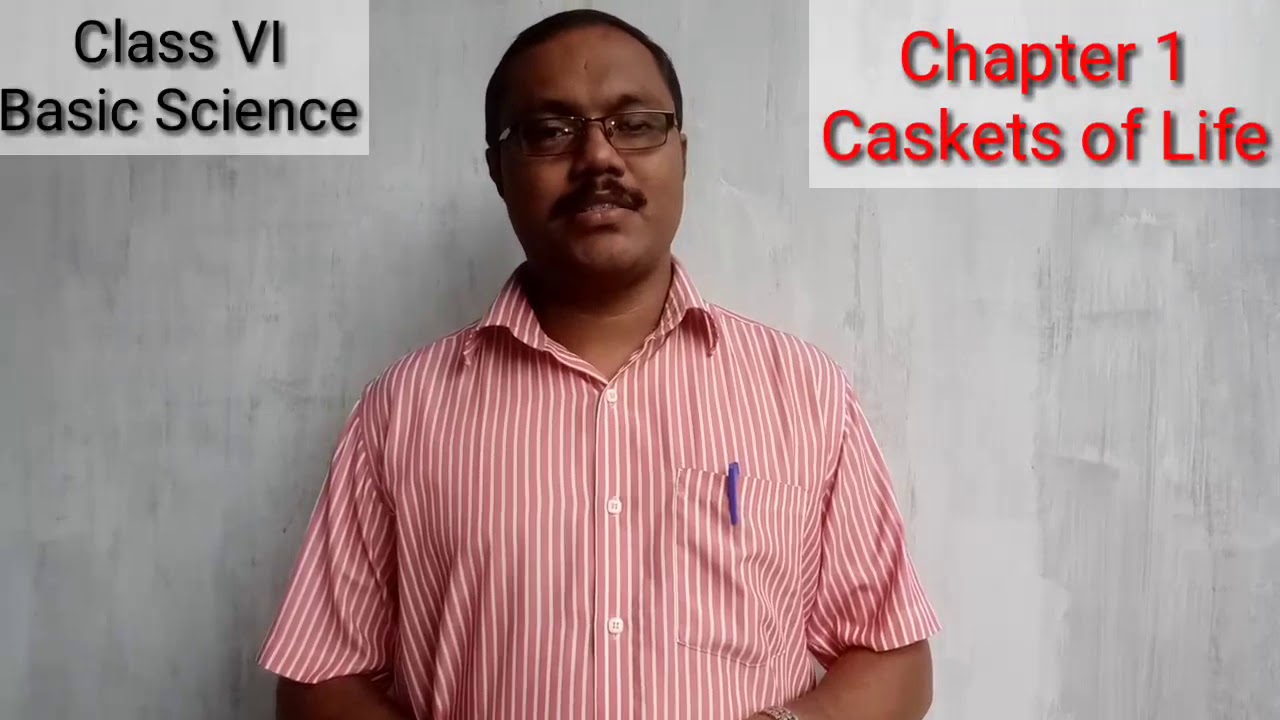 Basic Science Class 6 State Syllabus YouTube basic-science-class-6-state-syllabus-youtube