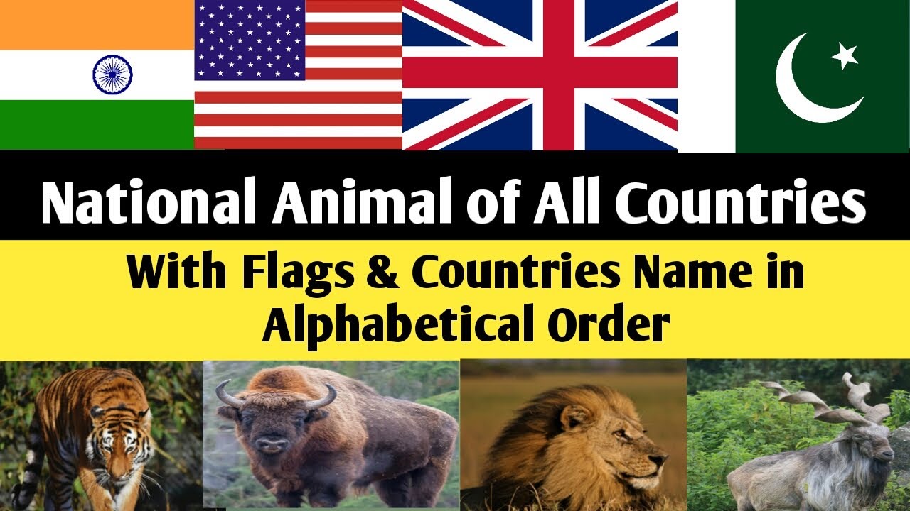 National Animals Of All Countries National Animals Of Countries New national-animals-of-all-countries-national-animals-of-countries-new