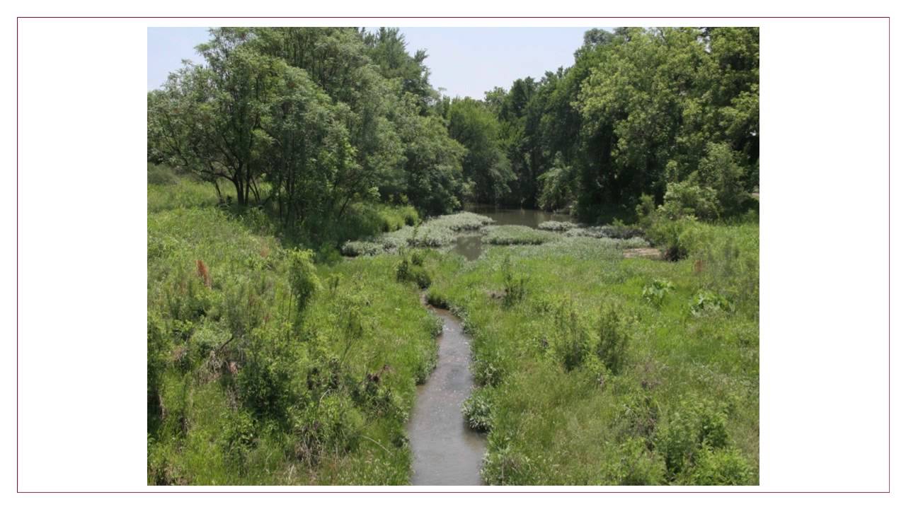 Remarkable Riparian Lesson 2: Defining Riparian - YouTube