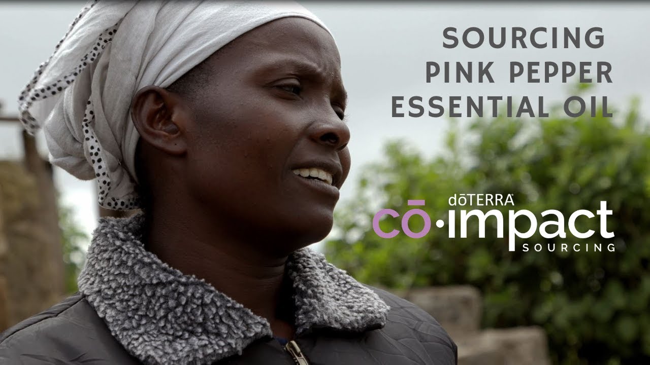 Pink Pepper Essential Oil - Sourcing Pink Pepper in Kenya - YouTube