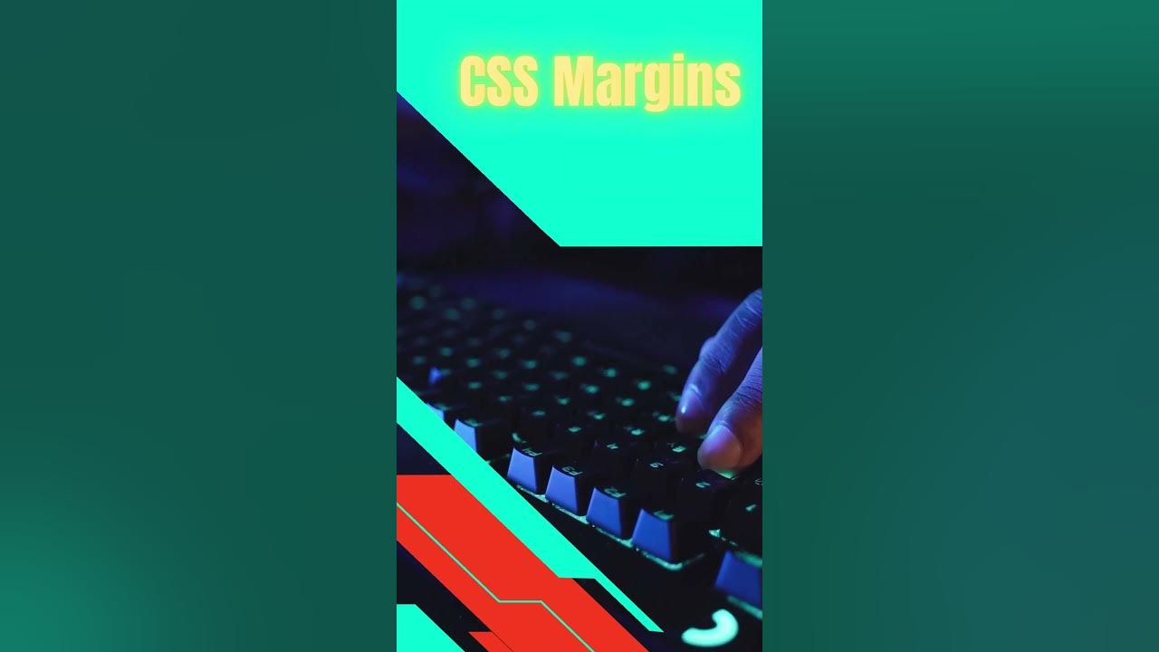 #036 css Example || css margins Using individual margin properties #css3 #shortvideo #html # ...