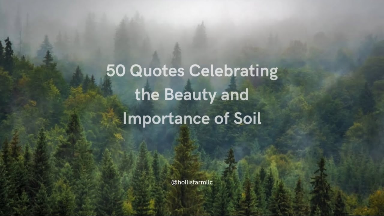 Soil Sayings Quotes