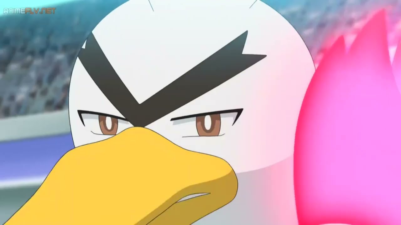 Sirfetchd Mejores Momentos Pokemon Viajes Cap 124 Youtube