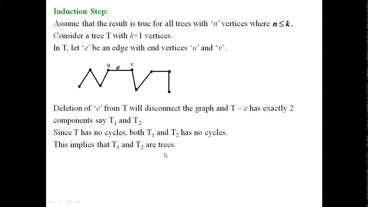 Trees - Properties & Examples - YouTube