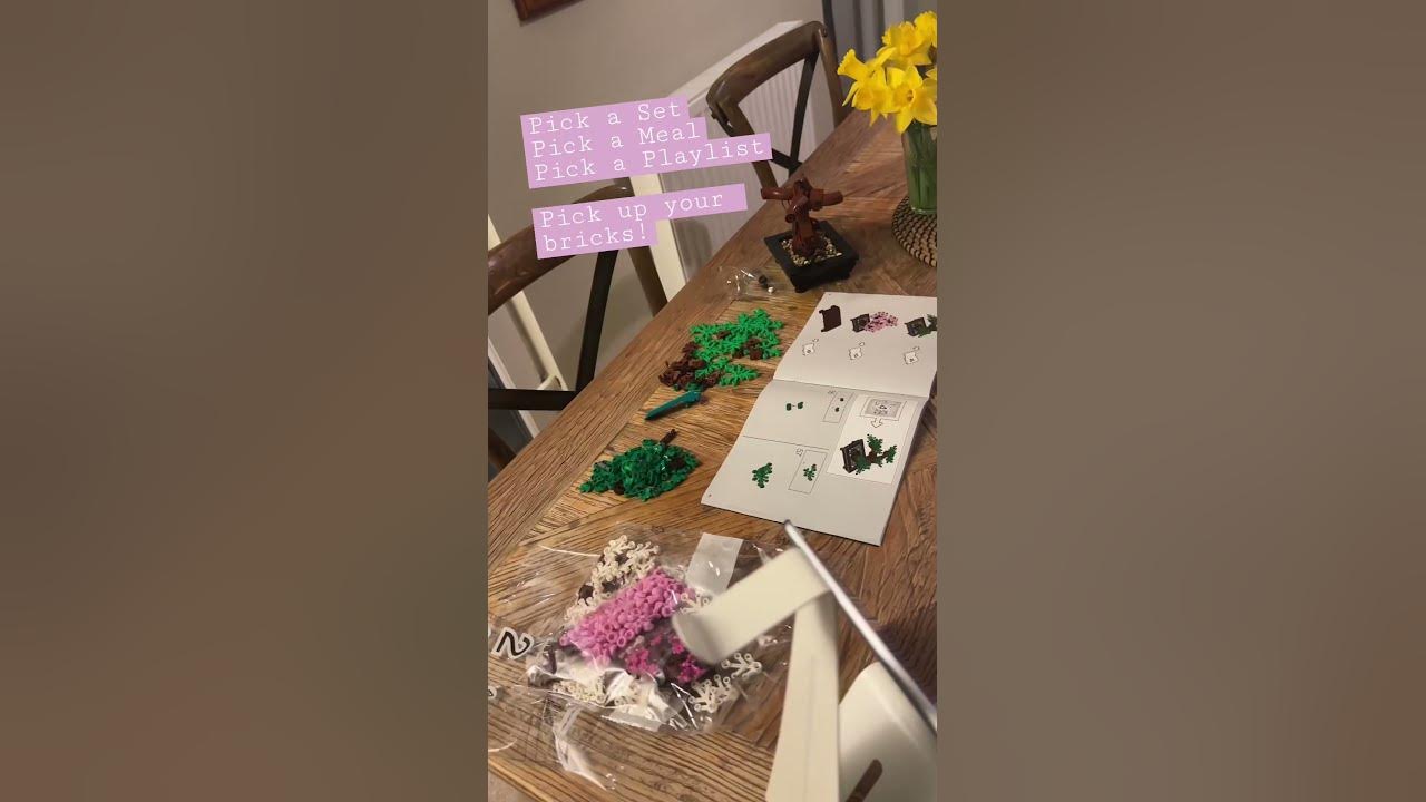 Lego Date Night Lego Legodatenight Datenight Dateideas Legoshorts Legobuilding