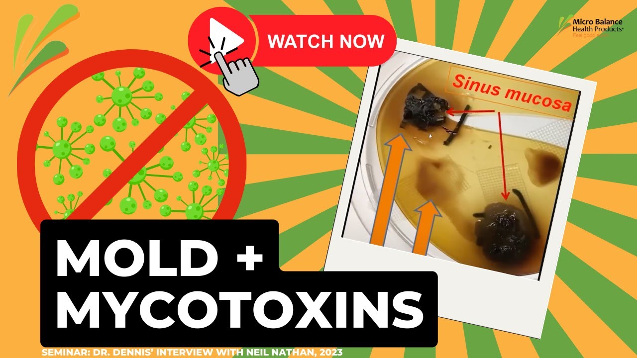 Dr. Dennis's Interview with Neil Nathan for Mold and Mycotoxin Seminar ...