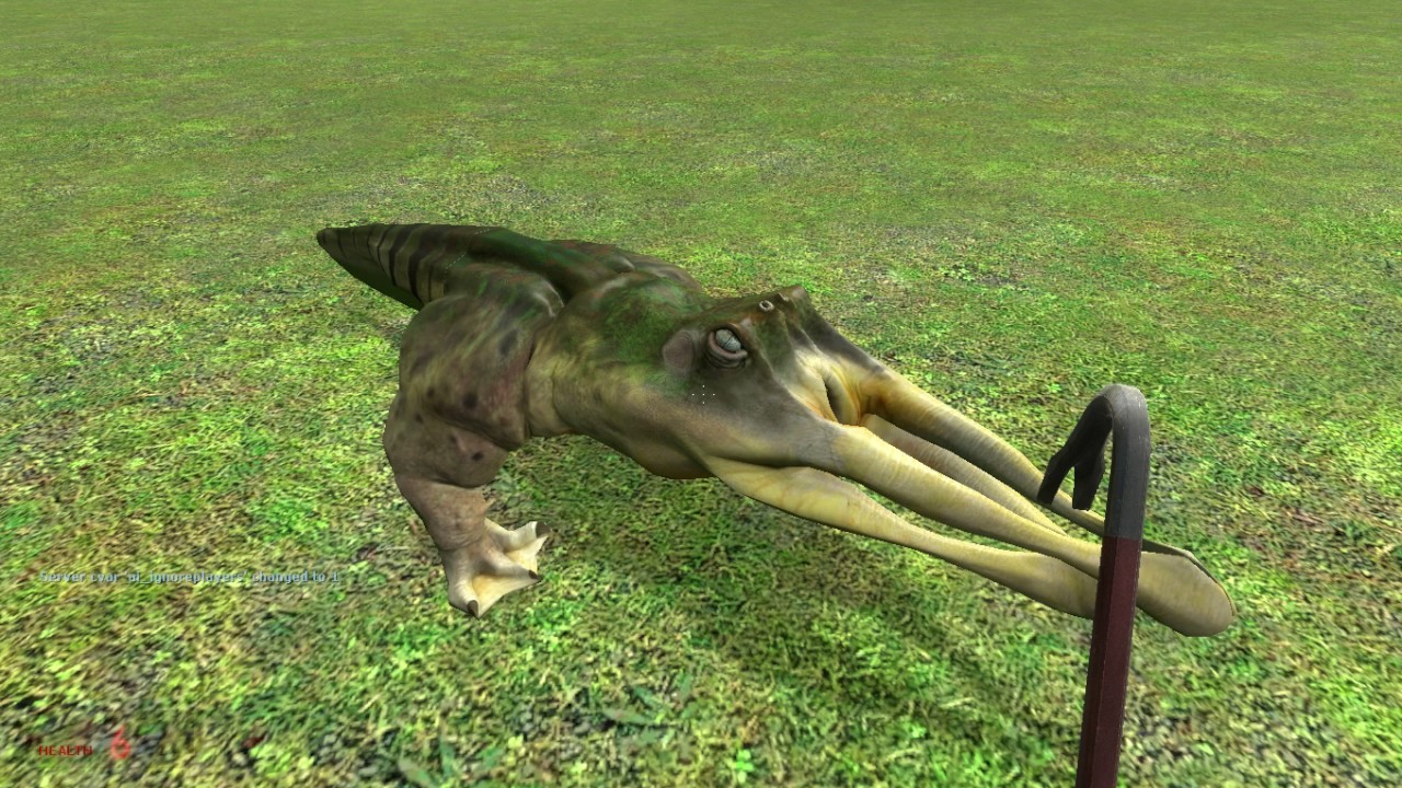 Bullsquid SNPC - YouTube