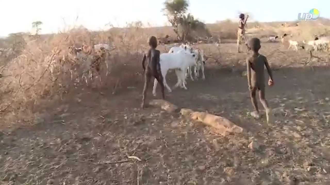 E-Learning for nomadic people - YouTube