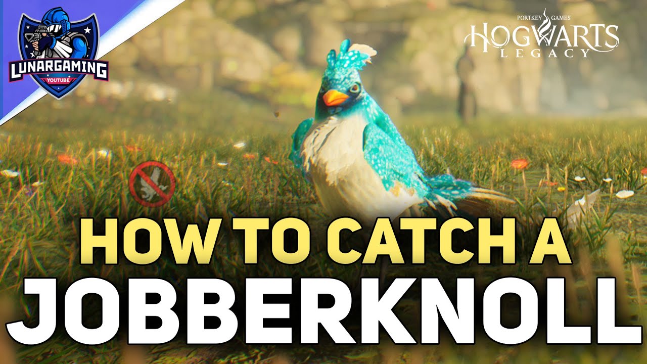 How To Catch a Jobberknoll Location - Hogwarts Legacy - YouTube