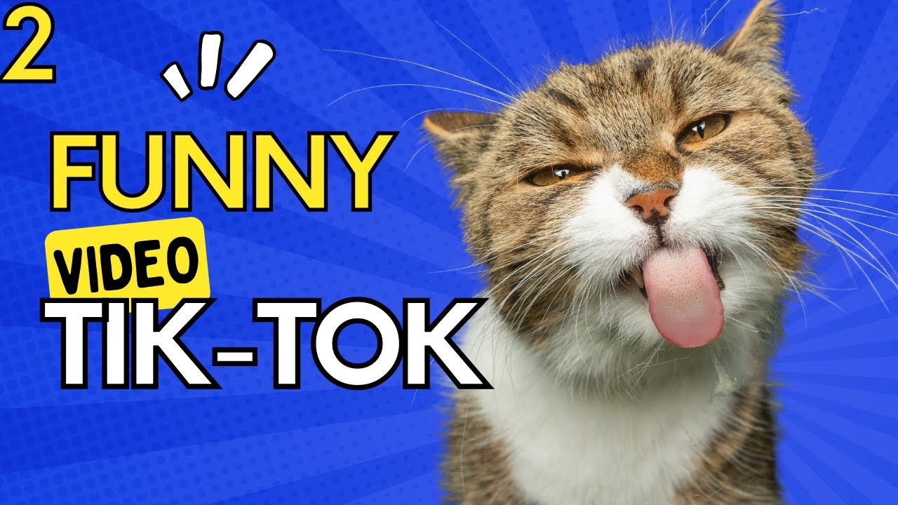 FUNNY VIDEO TIK-TOK - CAT - compilation 2 | СМЕШНАЯ ПОДБОРКА ТИК-ТОК - КОТИКИ - YouTube