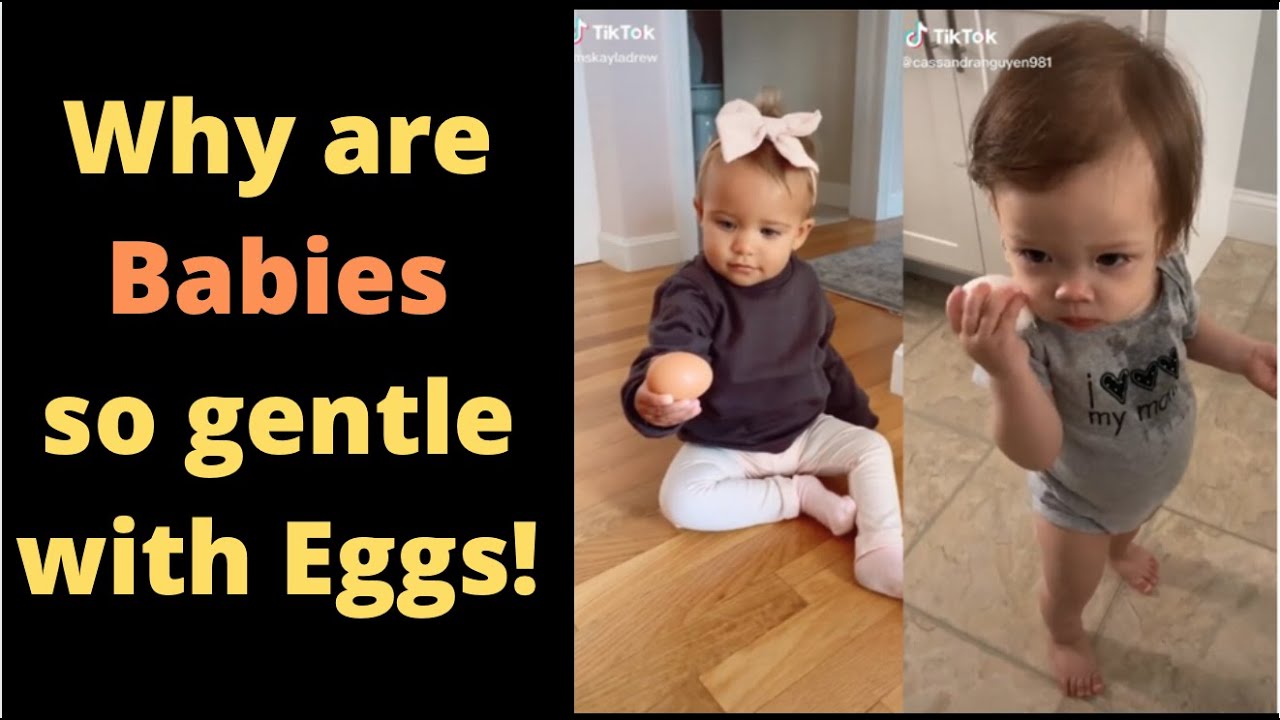 Mums are giving their babies eggs to hold in new TikTok Egg babyandegg ...