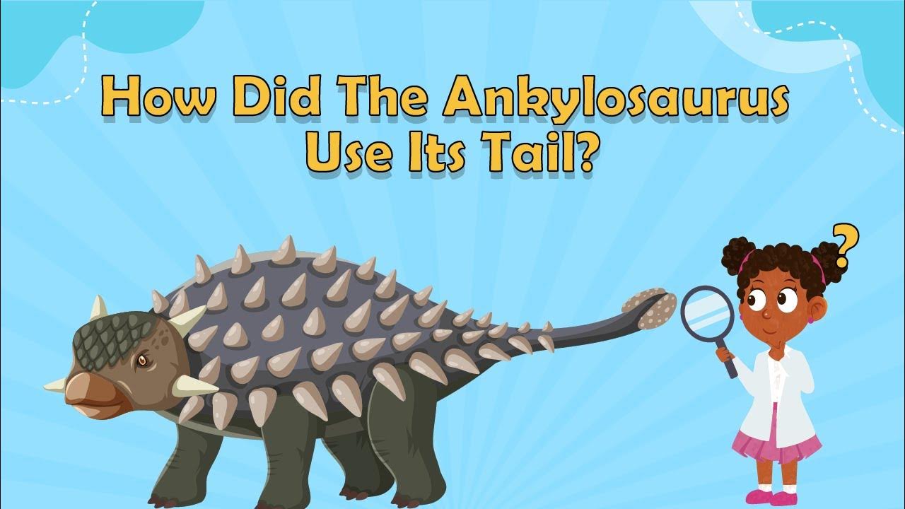 how-did-the-ankylosaurus-use-its-tail-dinosaur-facts-dinosaur
