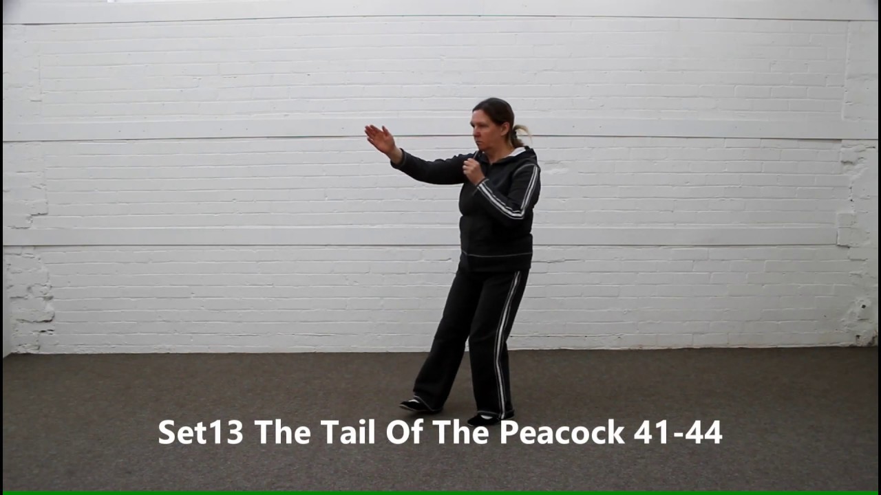 Tai Chi Lee Style Set 13 The Tail of The Peacock Nos 41-44 - YouTube
