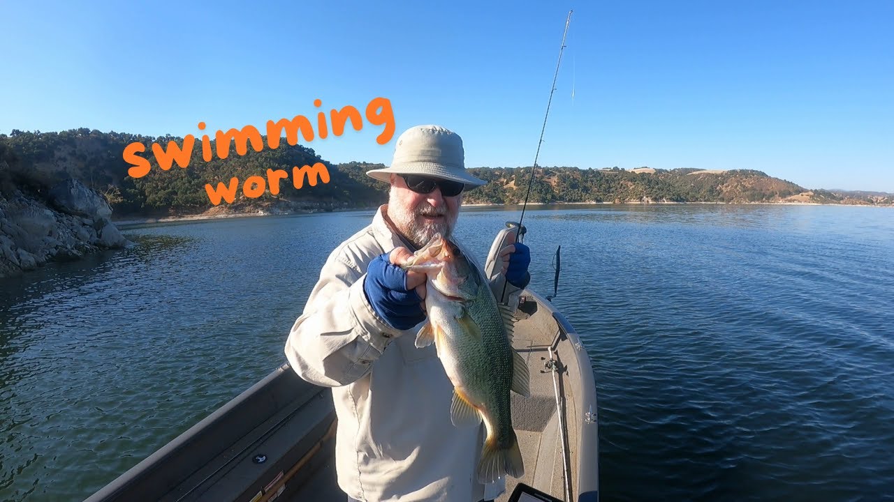 Versatility of a SWIMMING WORM - YouTube